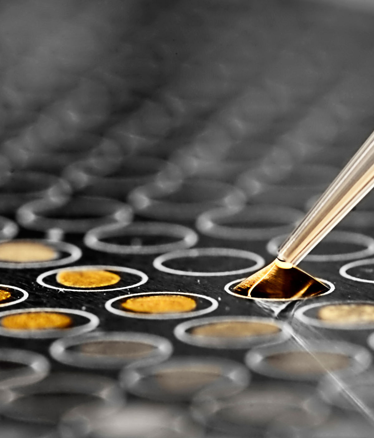 Final close of thematic private equity health fund | Pictet