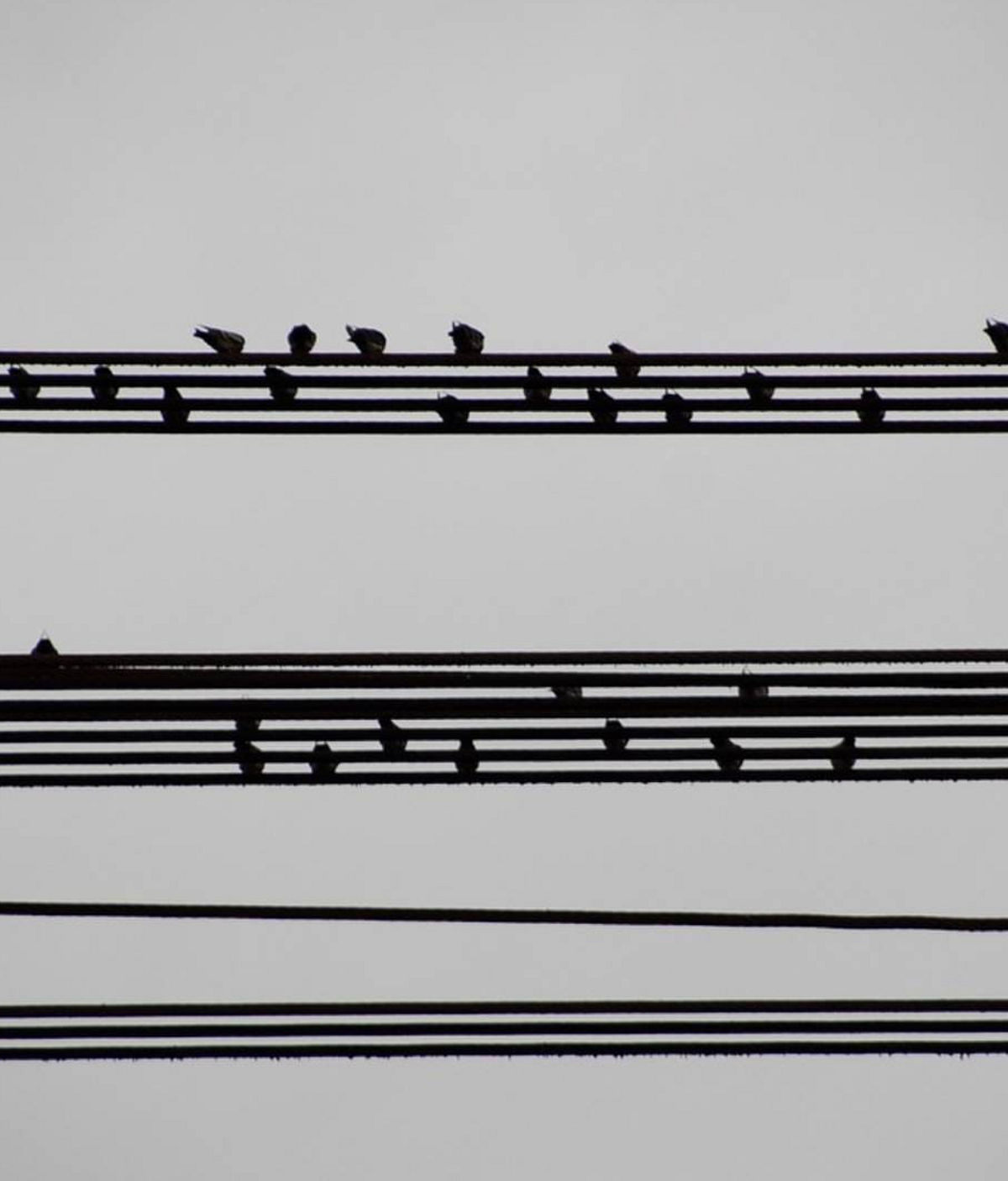 The new chattering class: how ChatGPT will change communication