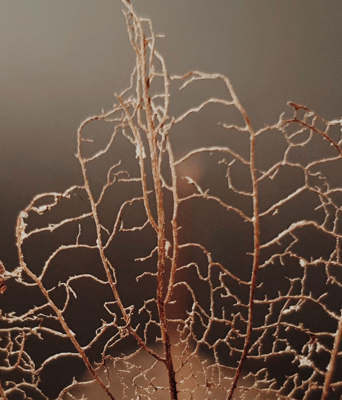 Launch of Pictet-Positive Change fund | Pictet