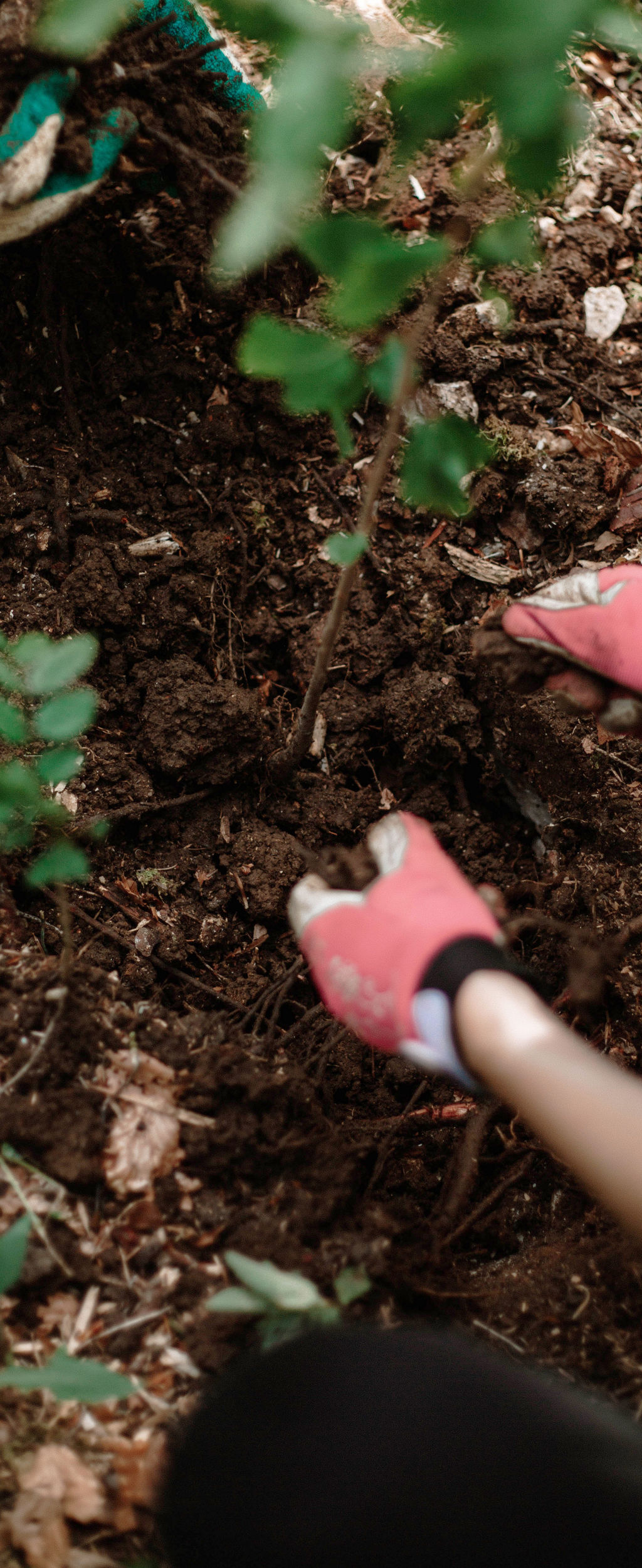 Engagement communautaire | Fondation du Groupe Pictet | Pictet