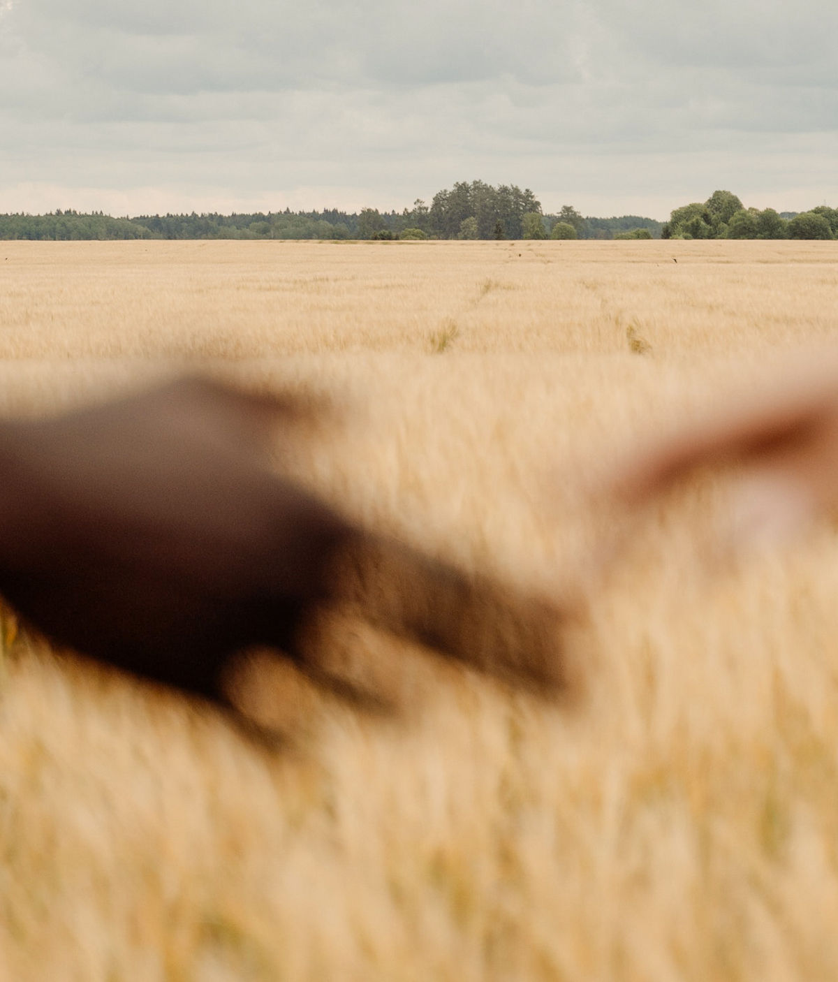 The Pictet Group Foundation | Pictet