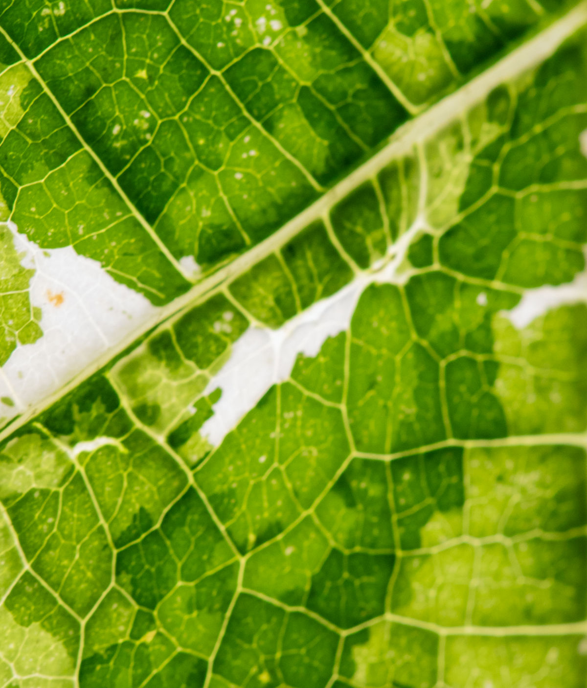 Climate Change Investment Principles | Pictet