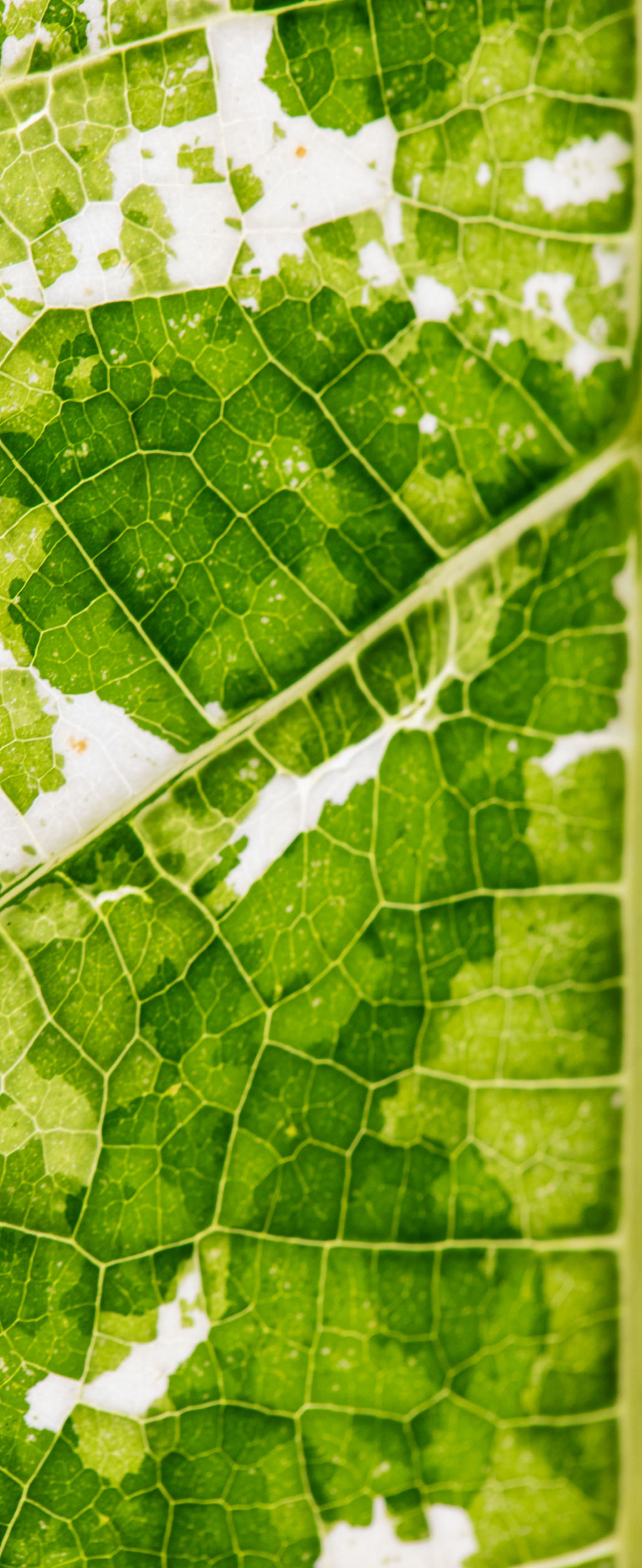 Climate Change Investment Principles | Pictet