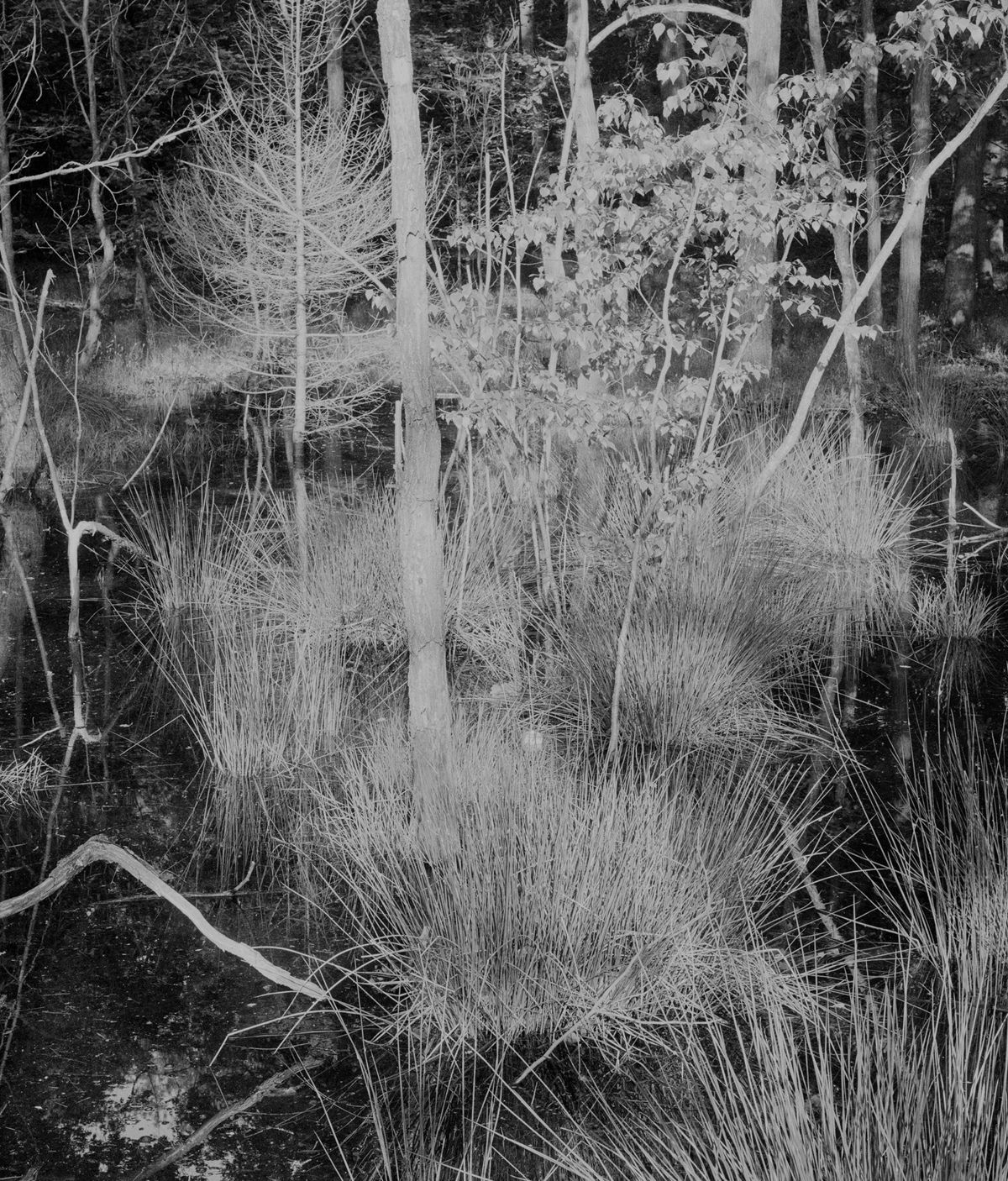 Extraction | Michał Łuczak | Prix Pictet