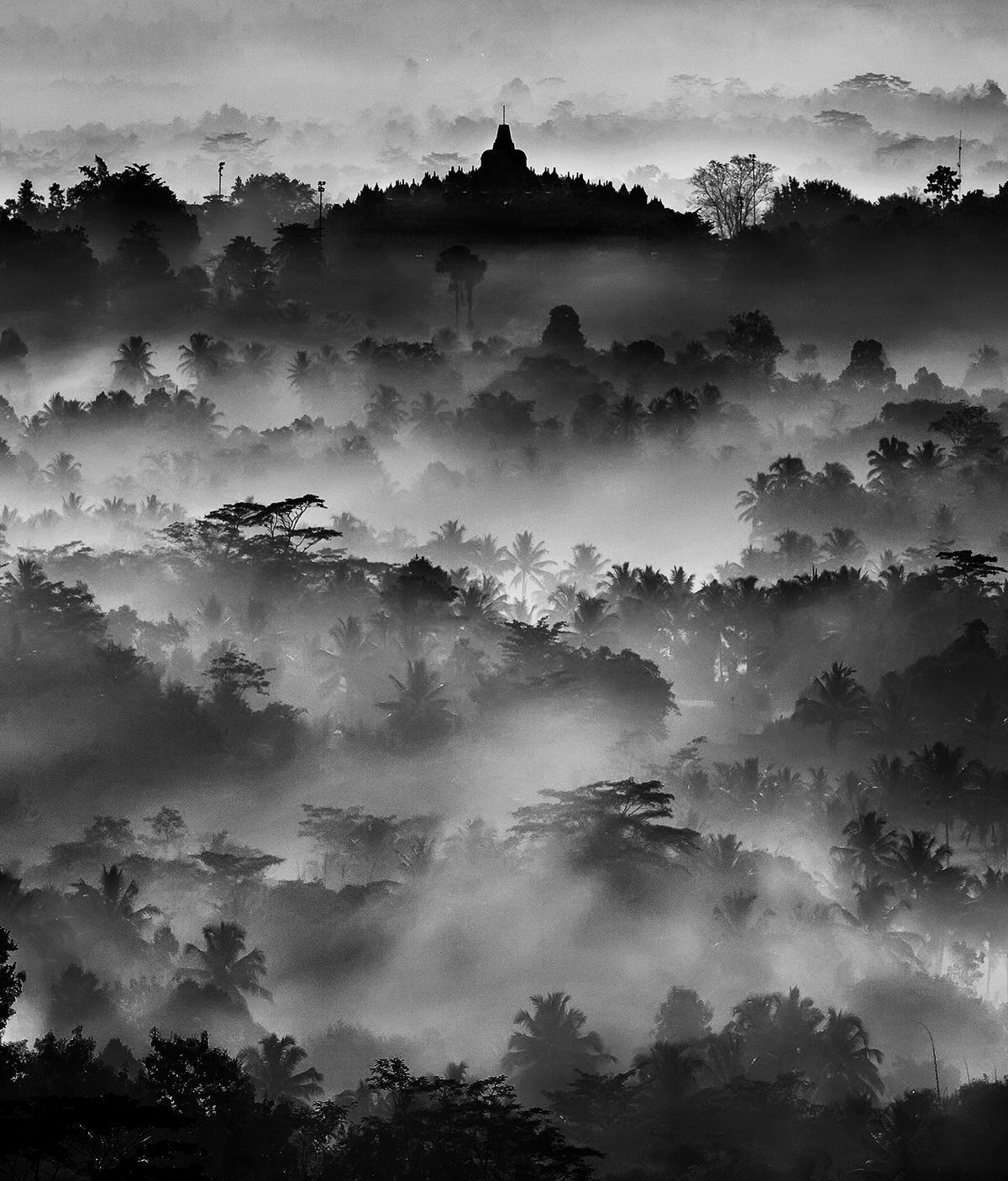 Overcoming climate anxiety: Hannah Ritchie interview