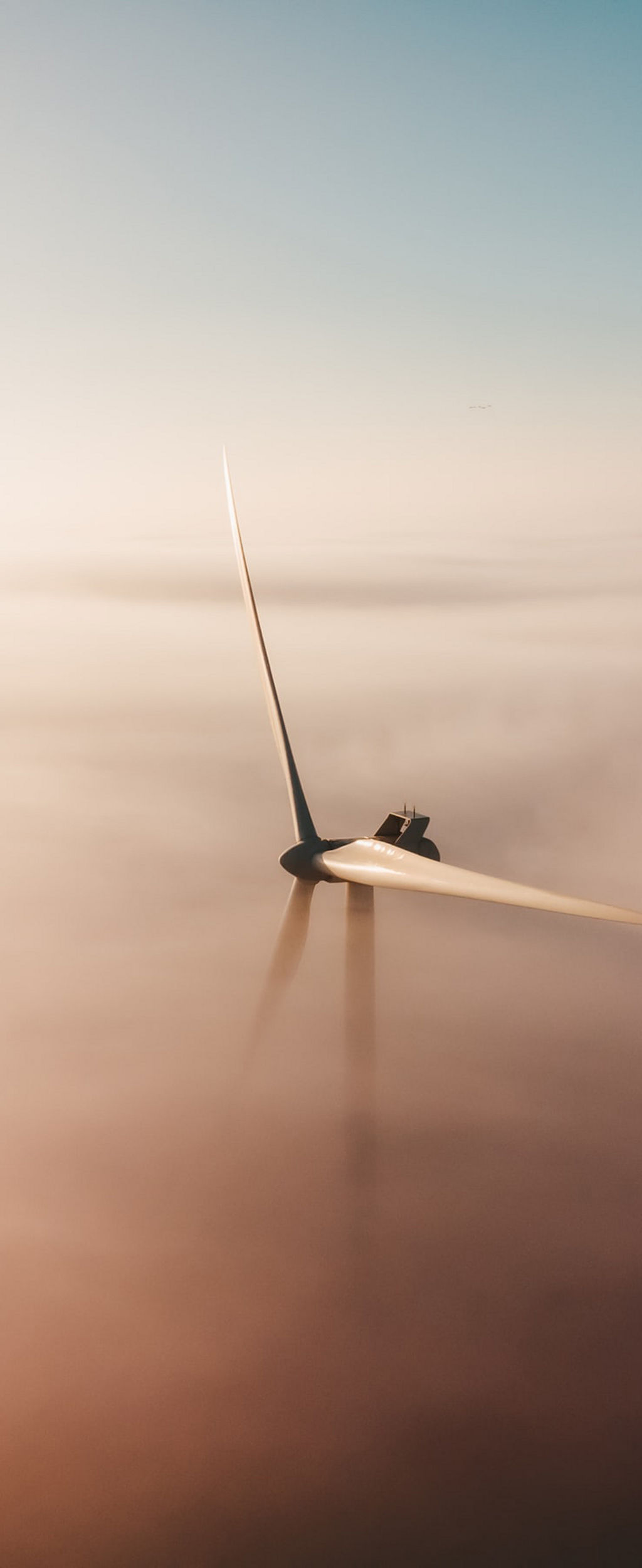 Our efforts to tackle environmental challenges | Pictet