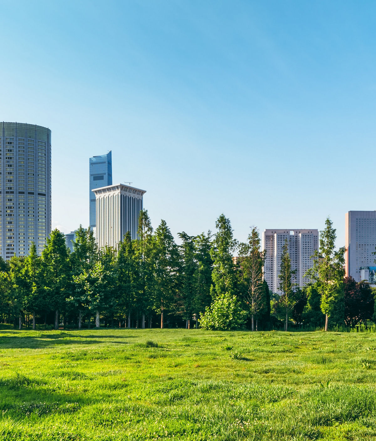 Weekly house view | Points to ponder for the Fed