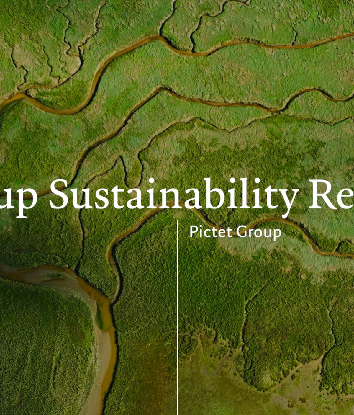 Pictet Group’s sustainability report | Pictet Group