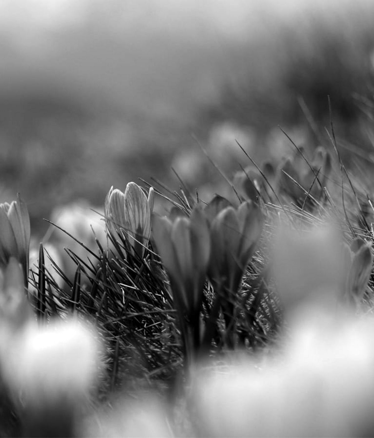 Barometer: A spring in the market's step